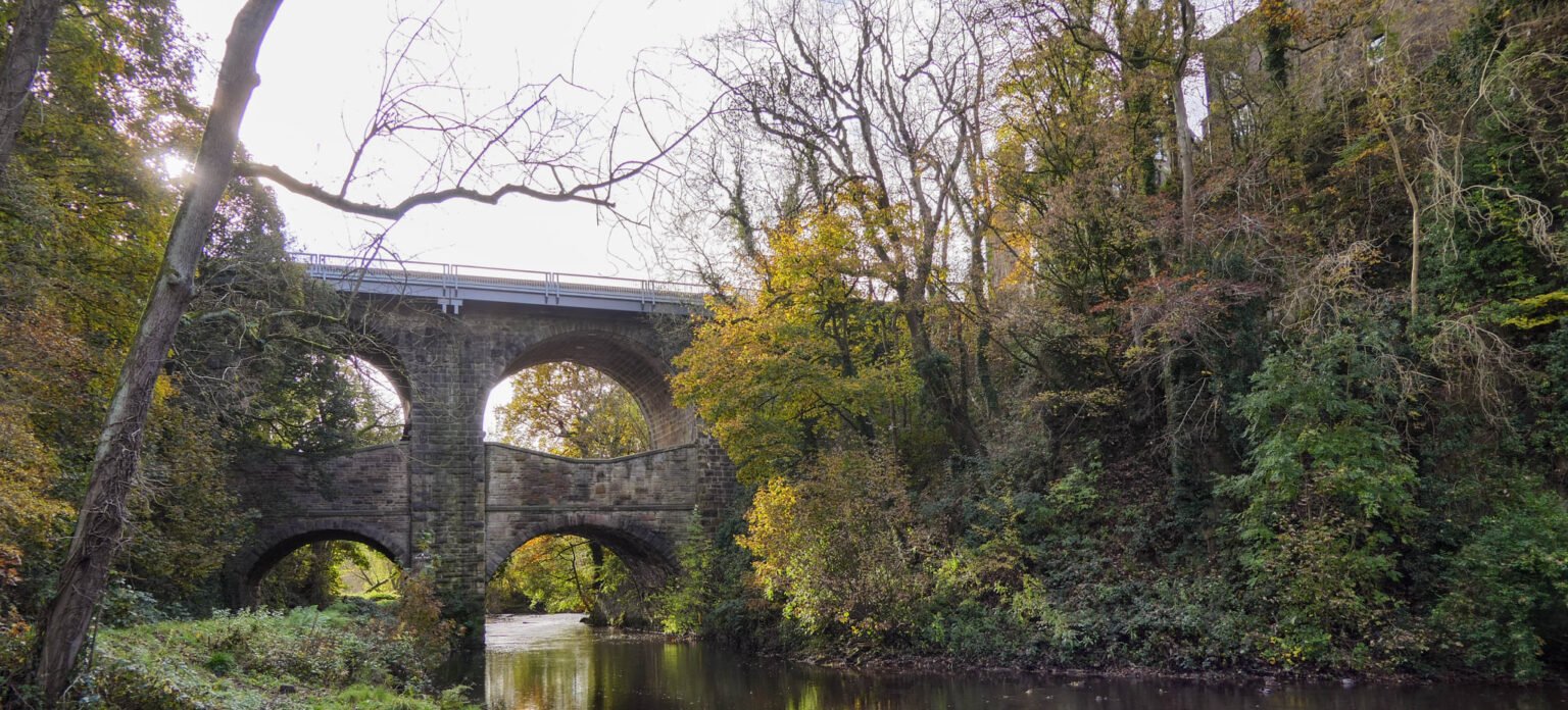 Connections – Nature New Mills